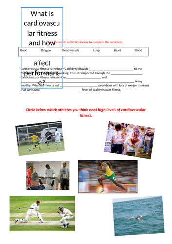GCSE PE Whole Course Worksheets For Students to Fill in (Multiple ...