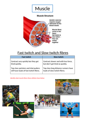 GCSE PE Whole Course Worksheets For Students to Fill in (Multiple ...