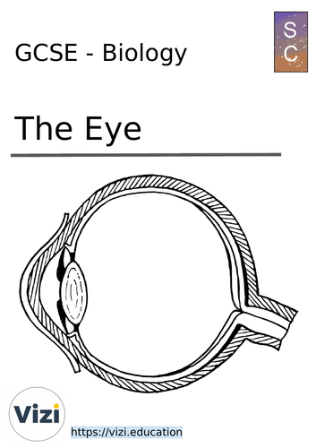 GCSE - Biology - The Eye - workbook and exam question pack | Teaching ...