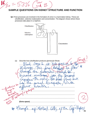 Homeostasis - A complete set of resources for AQA AS/A-Level Biology | Teaching Resources