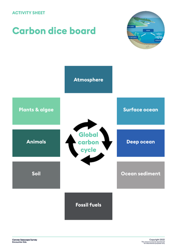 KS3 Carbon cycle dice activity | Teaching Resources