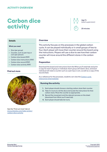 KS3 Carbon cycle dice activity | Teaching Resources