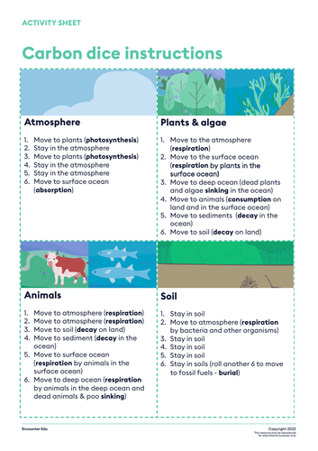 KS3 Carbon cycle dice activity | Teaching Resources