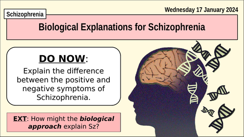 A-Level Psychology - BIOLOGICAL EXPLANATIONS FOR SCHIZOPHRENIA ...