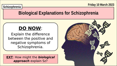 A-Level Psychology - BIOLOGICAL EXPLANATIONS FOR SCHIZOPHRENIA ...