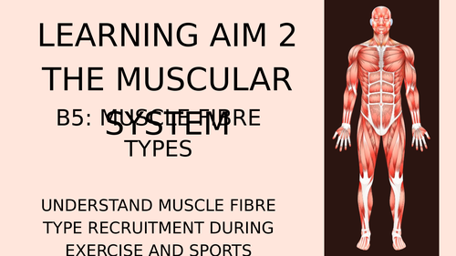 BTEC Sport Anatomy - Muscular System | Teaching Resources