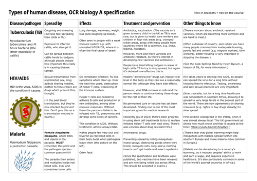 OCR diseases in humans notes and worksheet, A-level and AS-level ...