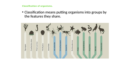 Igcse Biology Lesson Notes And Tasks With Mark Scheme On Use Of