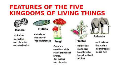Igcse Biology Lesson Notes And Tasks With Mark Scheme On Features Of
