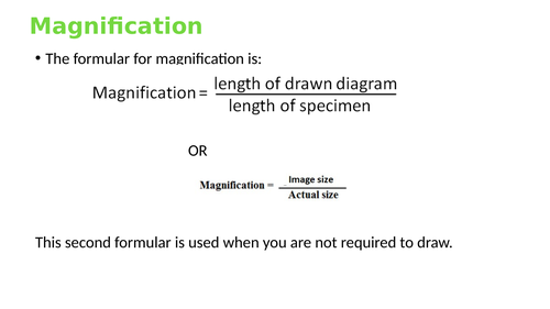 Igcse Biology Lesson Notes And Tasks With Mark Scheme On Size Of