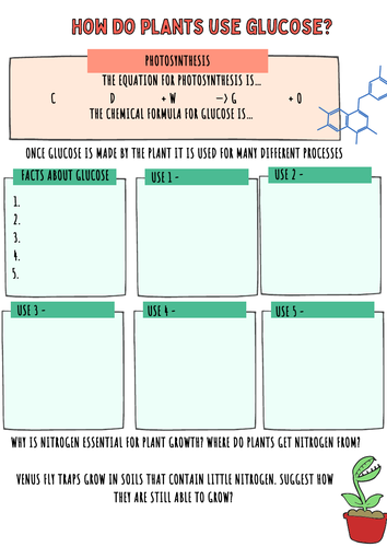 Uses of glucose worksheet | Teaching Resources