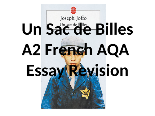 Un Sac de Billes French A-Level Extensive Revision Notes | Teaching ...