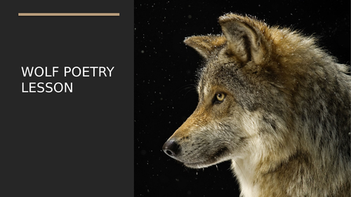 Wolves Poetry Session Powerpoint | Teaching Resources