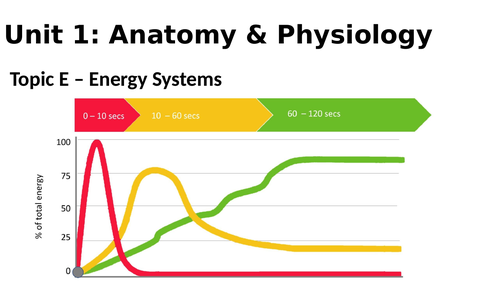 BTEC Sport L3 Unit 1 A&P - Energy Systems | Teaching Resources