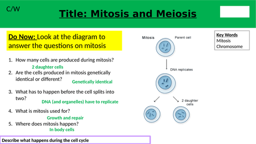 Cell Division | Teaching Resources