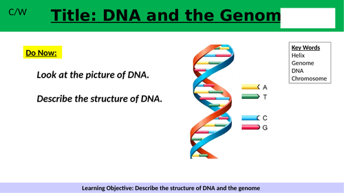 DNA and the genome | Teaching Resources