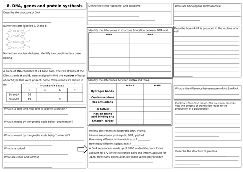Biology AS - DNA, Genes and Protein Synthesis summary sheet | Teaching ...