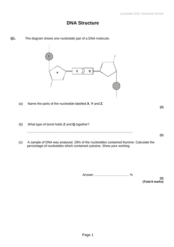 Dna Genetic Control And Cell Division Teaching Resources