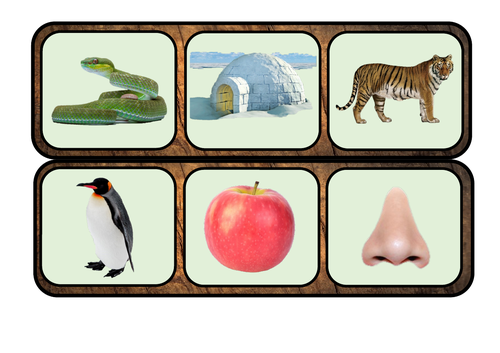 Initial sound/ secret word tray inserts | Teaching Resources