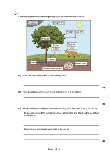 AQA GCSE Geography Living World Lessons and Resources | Teaching Resources