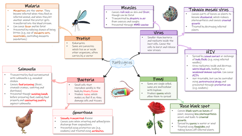 GCSE Communicable diseases mind map | Teaching Resources