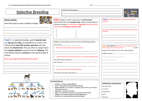 Selective breeding | Teaching Resources