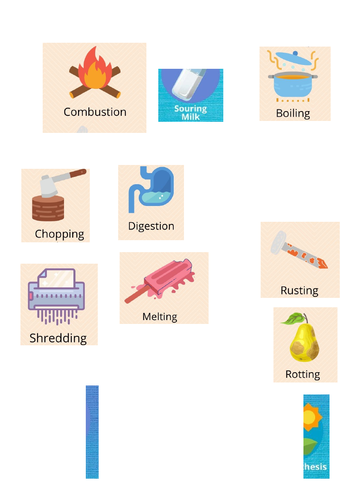 Chemical reactions Vs Physical reactions | Teaching Resources