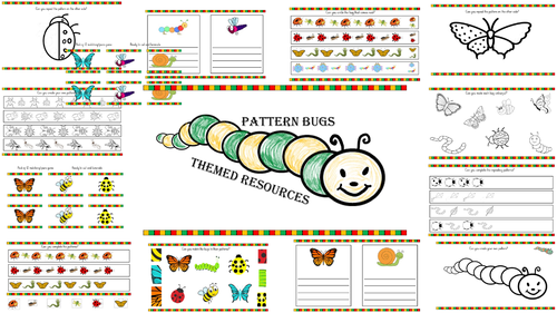 Pattern Bugs Themed Resources | Teaching Resources