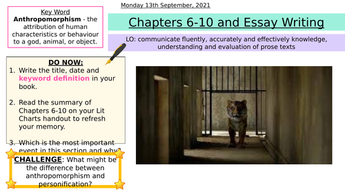 Life of Pi - full SOL (33 lessons) | Teaching Resources