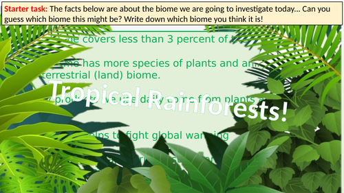 Tropical Rainforests KS3 Geography. Observation Quality! Jungle ...