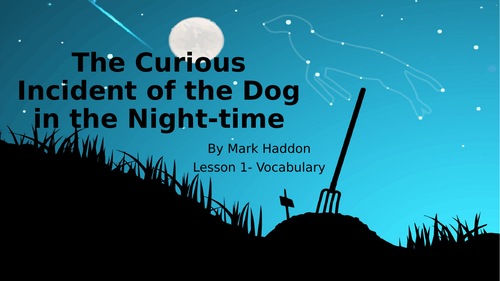 Curious Incident of the Dog in the Night-time- Literacy planning ...