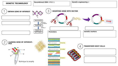 A LEVEL BIOLOGY: GENE TECHNOLOGY REVISION | Teaching Resources