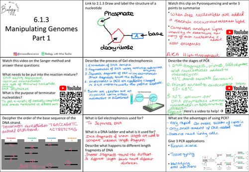 OCR A level Biology Module 6 revision grid | Teaching Resources