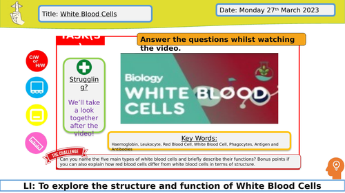 Intro to White Blood Cells | Teaching Resources