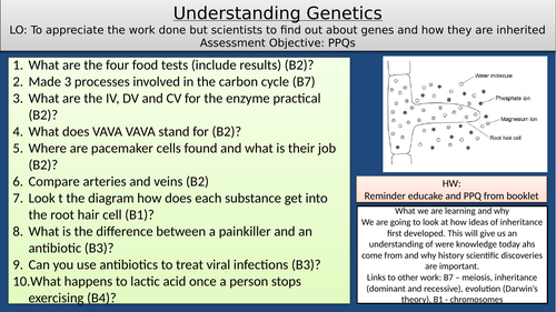 Lesson resources_B6_genetics_triple | Teaching Resources