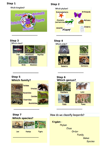 Lesson resources_B6_genetics_triple | Teaching Resources