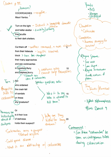 IEB English Cockroaches by Mauri Yambo Annotated | Teaching Resources