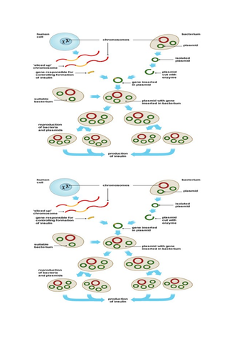 lesson resourced_aqa gcse trilogy_B6_inheritance | Teaching Resources