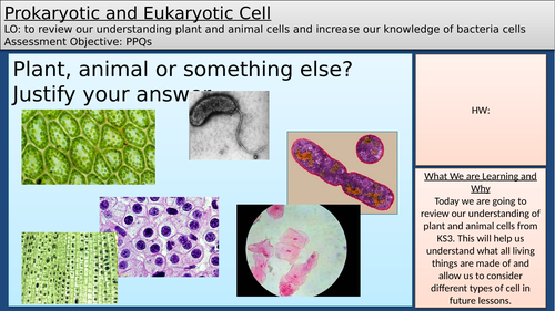 lesson_prokaryotic and eukaryotic cells | Teaching Resources