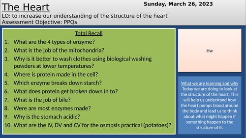 lesson_AQA GCSE_the heart | Teaching Resources