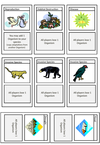 Natural Selection Game | Teaching Resources