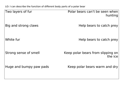 Polar bear needs and adaptation lesson | Teaching Resources