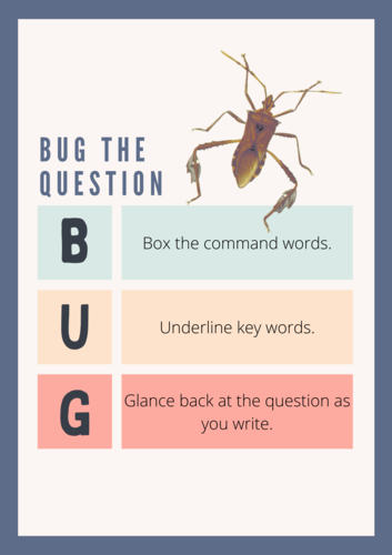 BUG The Question Poster | Teaching Resources