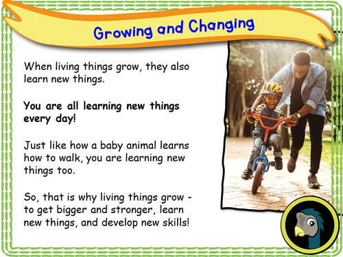 Growing and Changing - EYFS PSHE | Teaching Resources