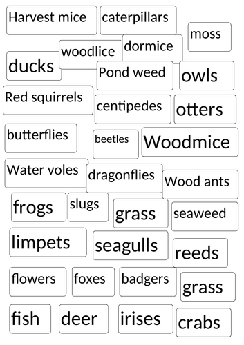 Science Year 4 Planning Friction Habitats Moving Growing Solids Liquids ...