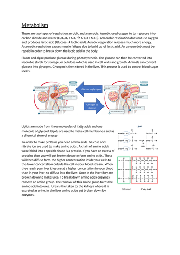 Lesson Metabolism Aqa Gcse Teaching Resources