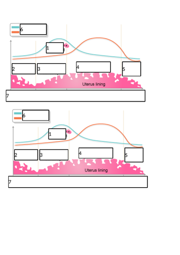 Lesson Hormones In The Menstrual Cycle Aqa Gcse Teaching Resources