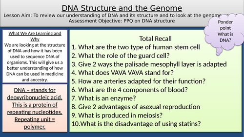 lesson_DNA and genome_AQA GCSE | Teaching Resources
