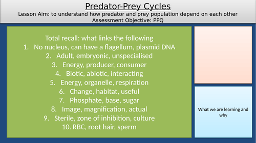 lesson_predator-prey cycles_AQA GCSE | Teaching Resources