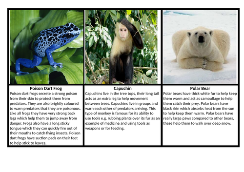 lesson_adaptations of animals_AQA GCSE | Teaching Resources